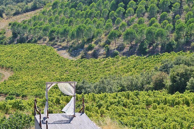 Lisbon Southern Region (Fernão Pó) Wine Tasting Private Tour - FAQ