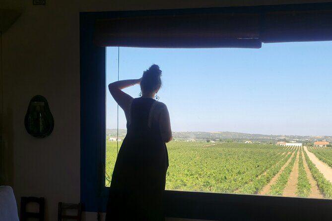 Lisbon to Evora: Cork Factory Visit and Wine Tour + hotel pick-up - Key Points