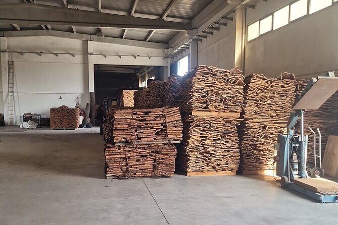 Lisbon to Evora: Cork Factory Visit and Wine Tour + hotel pick-up - The Sum Up: Who Will Love This Tour?