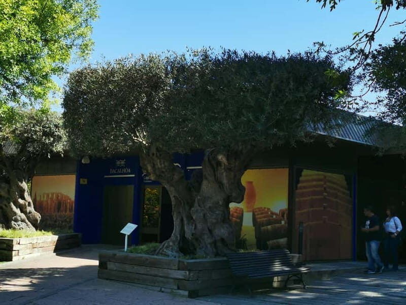 Lisbon to Wine Tasting Setubal, Two Cellars, Half Day Tour - Key Points