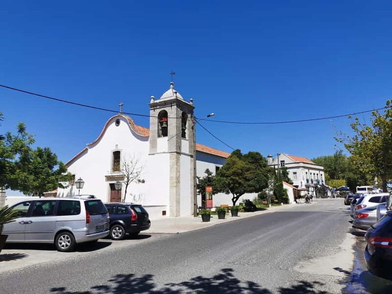 Lisbon to Wine Tasting Setubal, Two Cellars, Half Day Tour - An In-Depth Look at the Tour Experience