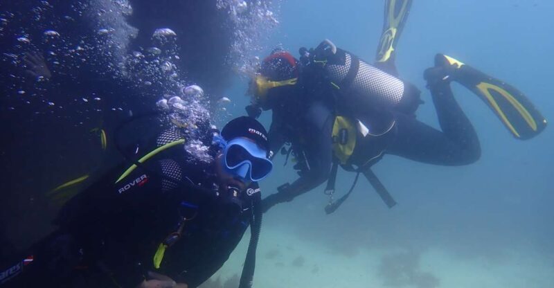 Lisbon: Try Dive in Arrábida Marine Reserve Setubal Sesimbra - Frequently Asked Questions