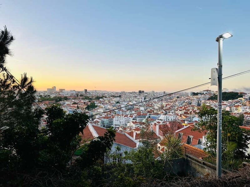 Lisbon Tuk Tuk Tour 1 Hour 30 Min - Final Thoughts: Who Is This Tour Best For?