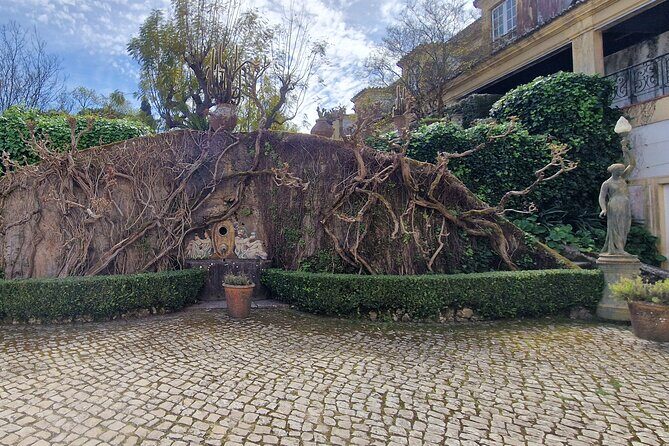 Lisbon Wine Tour: Azeitao, Setubal and Arrabida and Hotel Pickup - FAQ