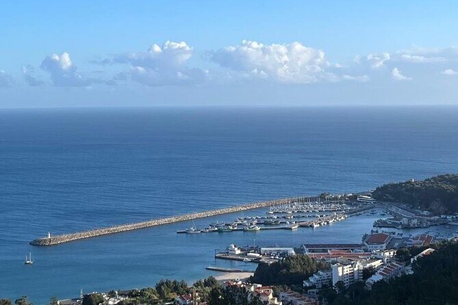 Lisbon WineTour : Premium Tastings Wine & Food (All-Inclusive) - Authentic Experiences That Shine