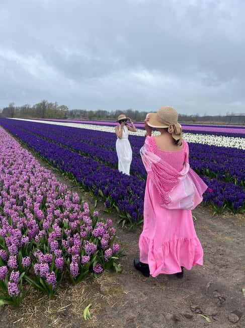 Lisse: Private Tulip Fields Tour with a Local Guide 1h Tour - The Guide and Experience Quality