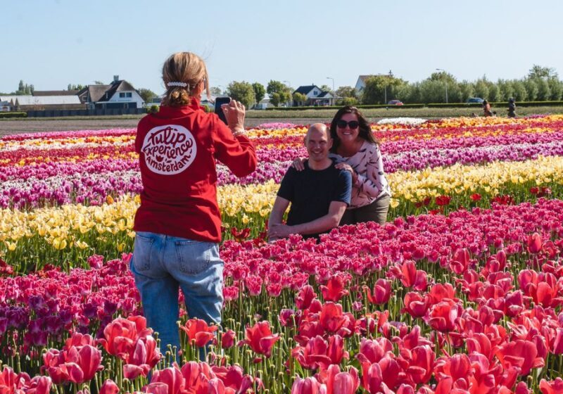 Lisse: Tulip Experience Ticket with Tulip Garden and Museum - An In-depth Look at the Tulip Experience 