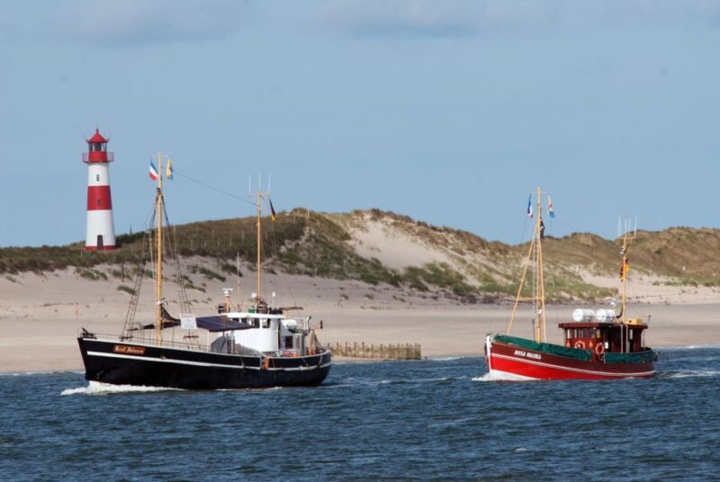 List/Sylt: Guided Seal-Watching Cruise on a Rustic Boat - The Sum Up