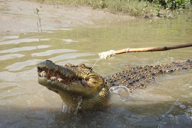 Litchfield and Jumping Crocodiles Full Day Trip from Darwin - What to Expect on the Tour  