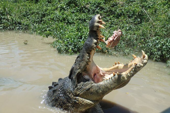 Litchfield and Jumping Crocodiles Full Day Trip from Darwin - FAQ