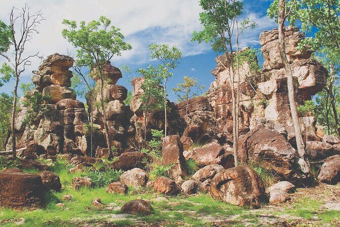 Litchfield Day Tour Classic - What Makes This Tour Stand Out?