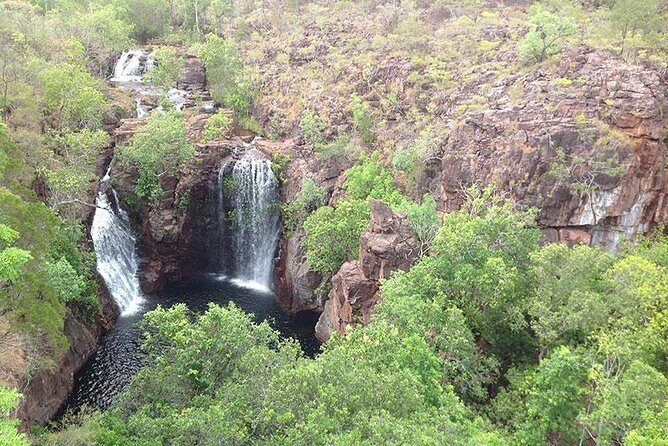 Litchfield National Park and Jumping Crocodile Cruise - Why This Tour Offers Great Value