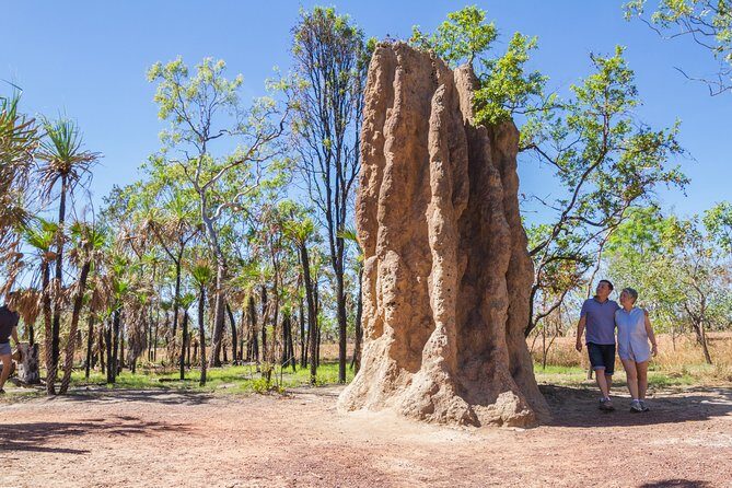 Litchfield National Park Day Tour from Darwin - The Experience Through the Eyes of Reviewers