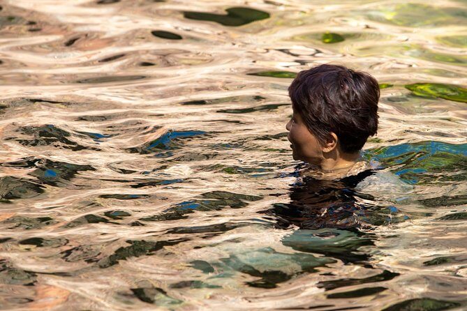 Litchfield National Park Day Tour from Darwin - Transportation and Group Size