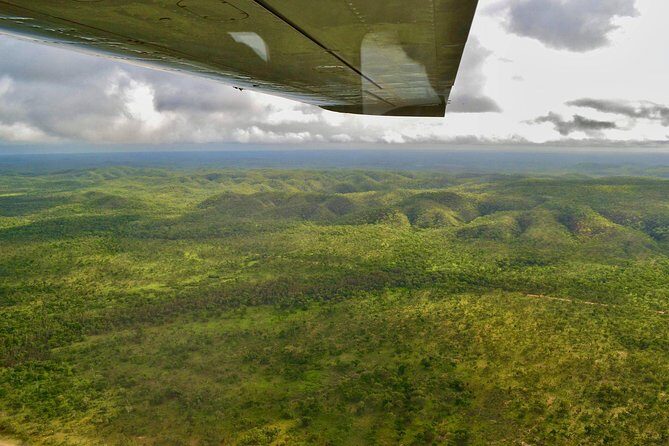 Litchfield Park & Daly River - Scenic Flight From Darwin - Practical Details & Tips