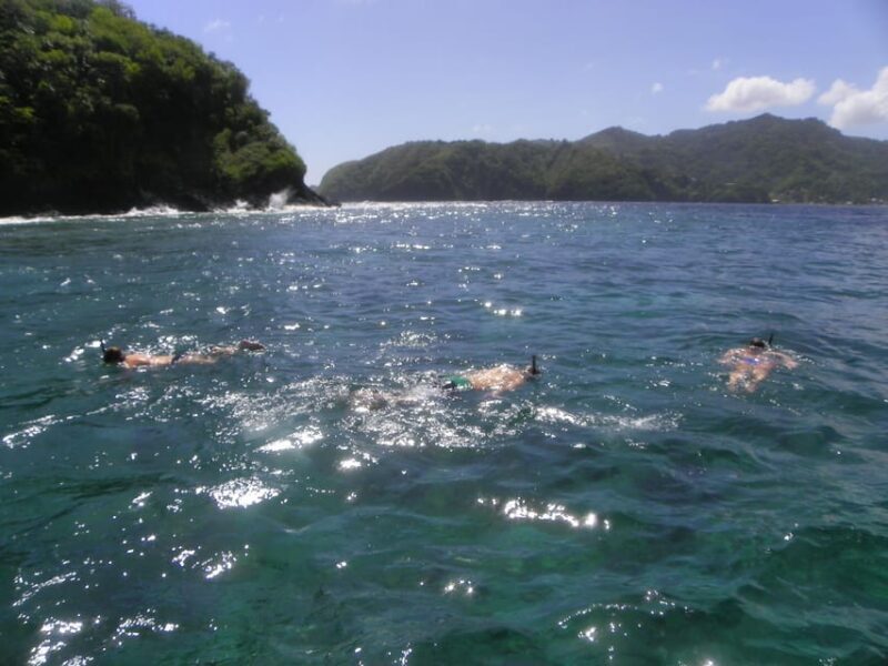 Little Tobago: Glass Bottom Boat Tour - Snorkelling at Angel Reef: An Underwater Playground