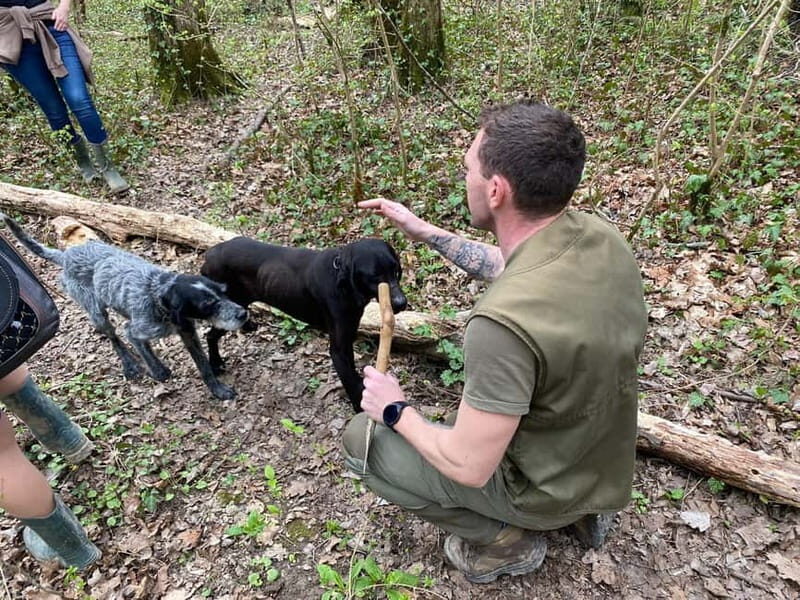 Livade: Guided Truffle Hunting Walking Tour - Key Points