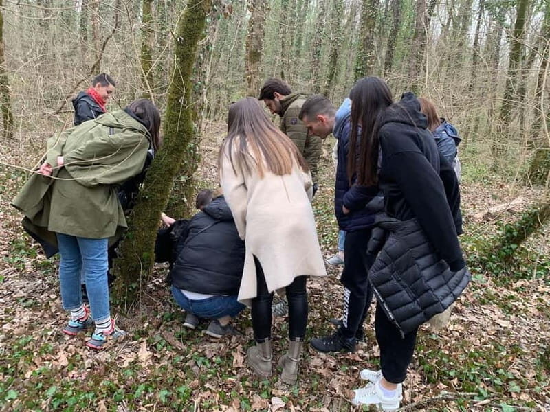 Livade: Guided Truffle Hunting Walking Tour - What to Expect from the Truffle Hunting Tour in Livade