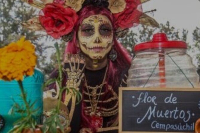 Live Noche de Muertos at Xochimilco: Dinner and local beers - Practical Considerations