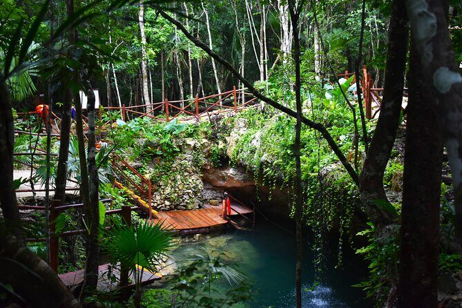 Live the adventure in 3 cenotes in the jungle! - Why This Tour Is a Great Choice