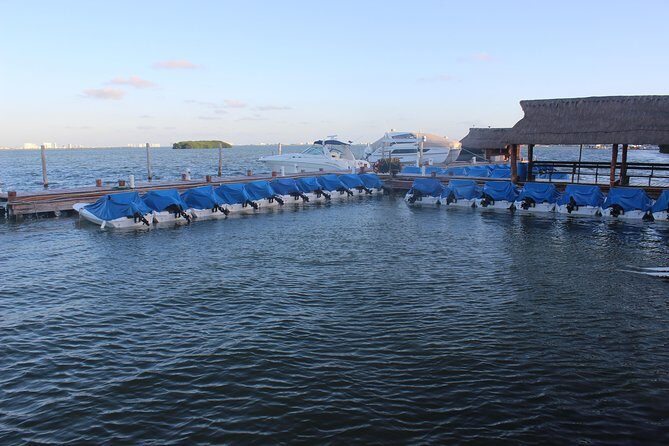 Live the experience of driving an Speedboat & Snorkel in CANCUN - Who Is This Tour Best For?