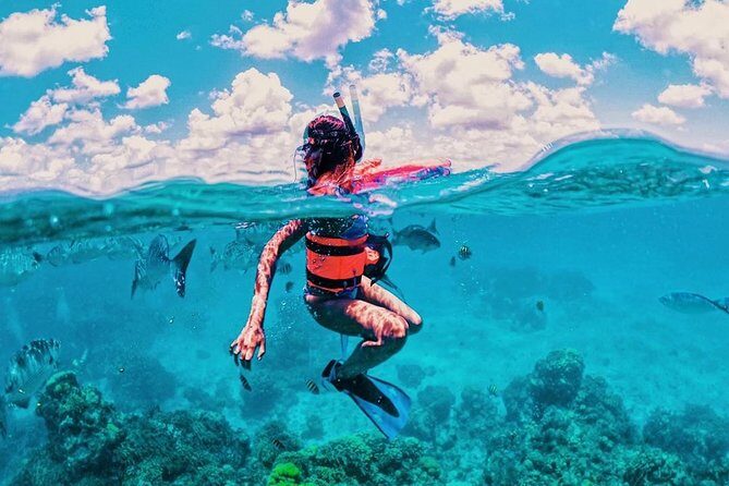 Live this unique snorkeling experience. El Cielo in Cozumel a magical tour. - Introduction: What’s the Buzz?