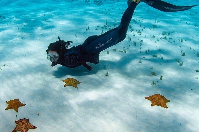 Live this unique snorkeling experience. El Cielo in Cozumel a magical tour. - Transportation and Group Size