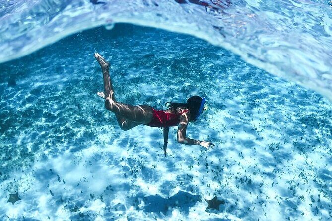 Live this unique snorkeling experience. El Cielo in Cozumel a magical tour. - Pricing: Is It Good Value?