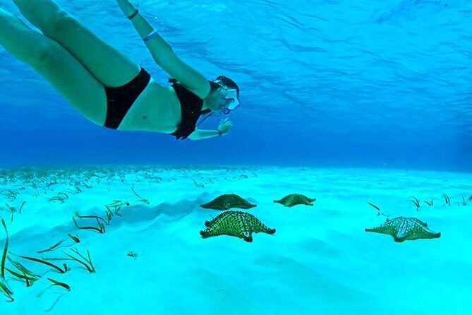 Live this unique snorkeling experience. El Cielo in Cozumel a magical tour. - Who Should Book This Tour?