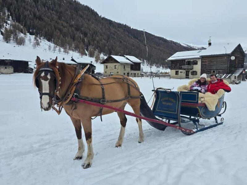 Livigno: Horse-Drawn Sleigh Ride with Blankets - Key Points