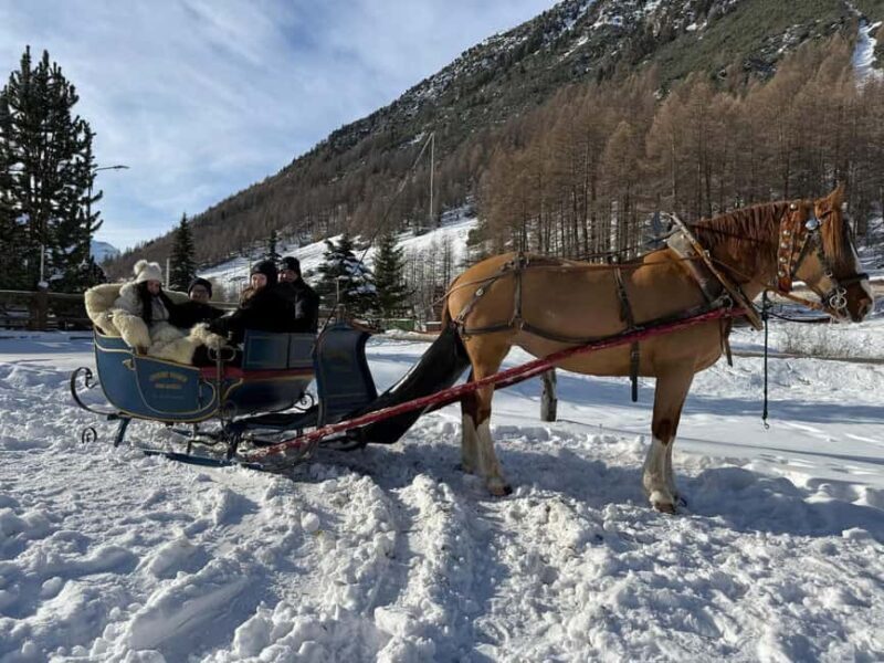 Livigno: Horse-Drawn Sleigh Ride with Blankets - What to Expect from Your Livigno Sleigh Ride