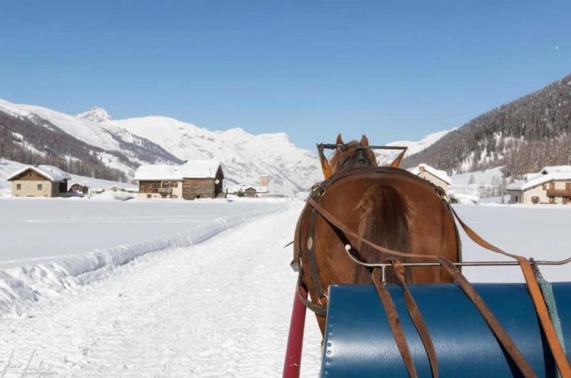 Livigno: Horse-Drawn Sleigh Ride with Blankets - Who Is This Tour Best For?
