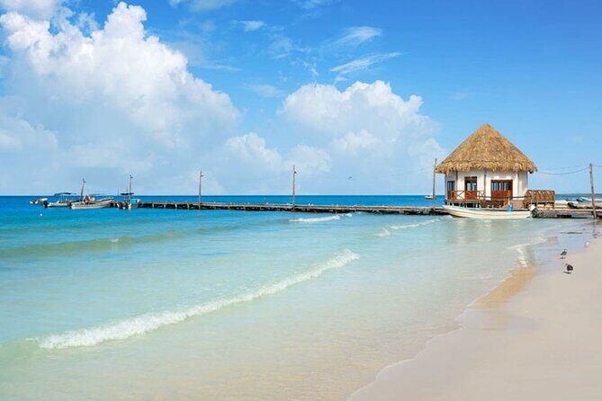 Living Dream, Holbox Tour! Round Transportation from Cancun - Who Will Love This Tour?