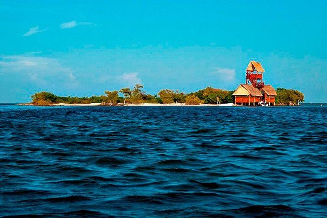 Living Dream, Holbox Tour! Round Transportation from Cancun - Final Thoughts