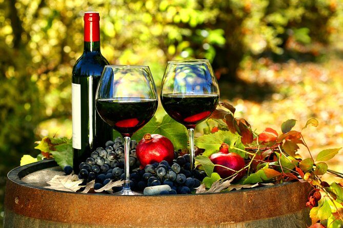 Livorno Shore Excursion: Chianti and Tuscany Countryside Private Wine Tour - Who This Tour Is Best For