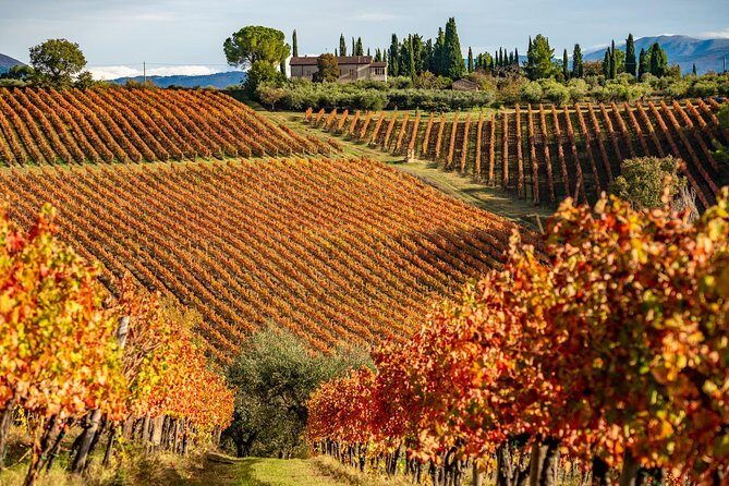 Livorno Shore Excursion: Chianti and Tuscany Countryside Private Wine Tour - The Sum Up