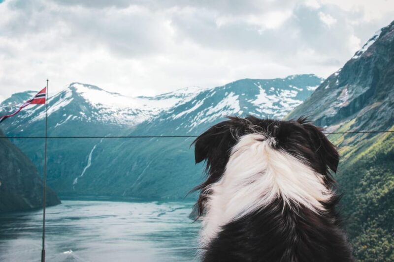 Ljøen, Hellesylt: Ljøen Farm Tour - The Authenticity and Value of This Tour