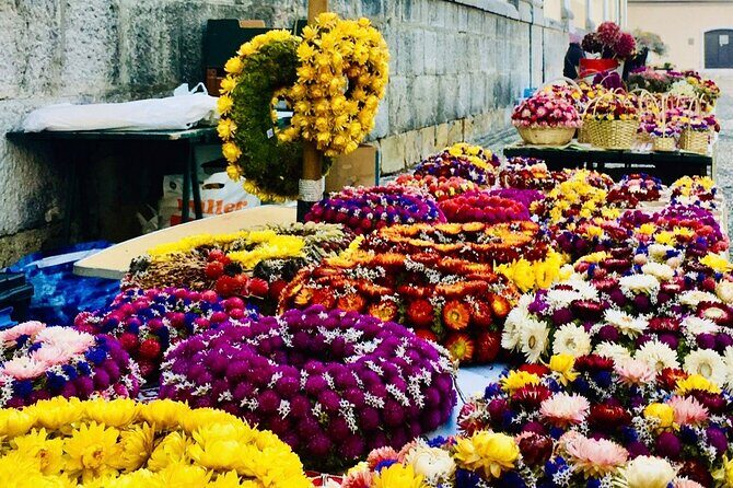 Ljubljana boat cruise and walking tour - The Sum Up