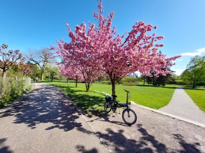 Ljubljana by E-Bike: Guided City Highlights Tour - The Value of This Experience
