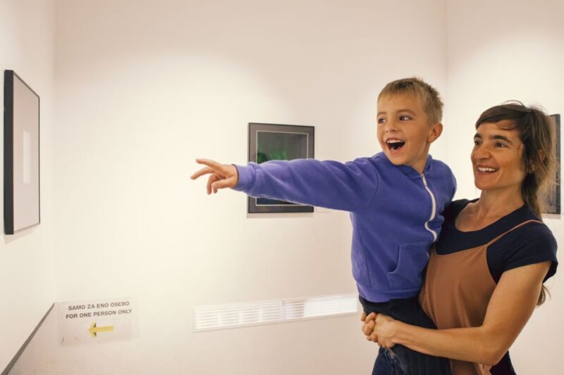 Ljubljana: House of Illusions Entrance Ticket - The Entrance and Location