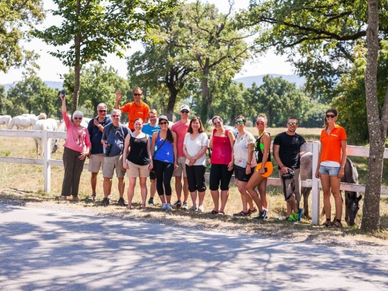 Ljubljana: Karst & Coast Full-Day Trip - Key Points