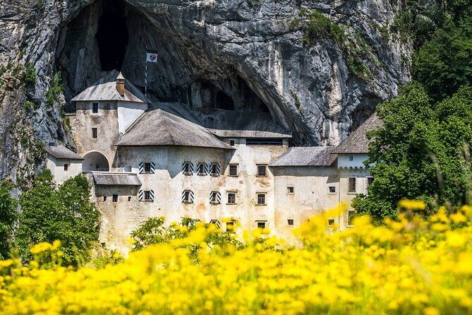 Ljubljana: Postojna cave & Predjama castle small group tour - The Experience: What to Expect on the Tour