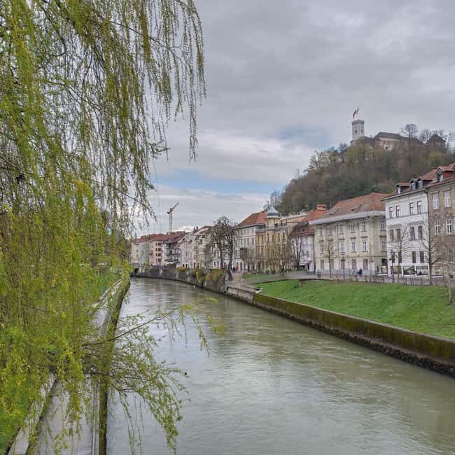 Ljubljana: Private Guided City Tour - An In-Depth Look at the Tour Itinerary