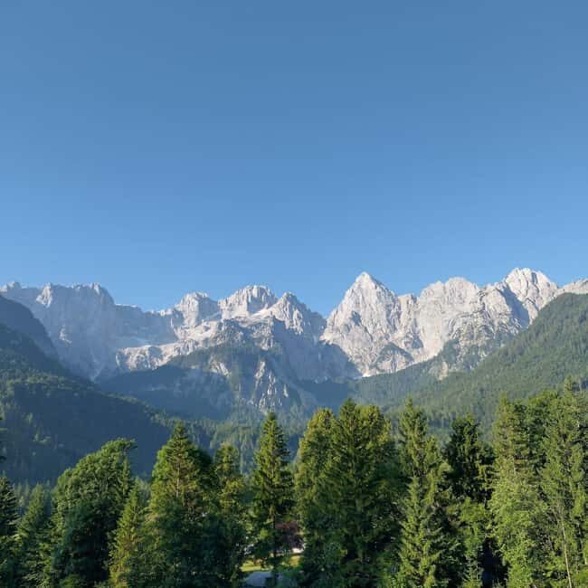 Ljubljana: Private Guided City Tour - Deep Dive into the Experience