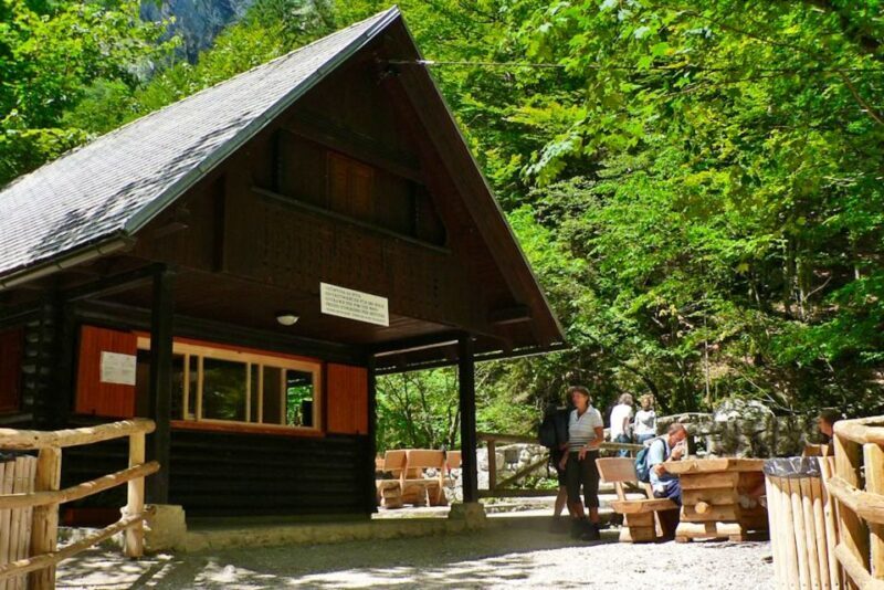 Ljubljana: Savica Waterfall, Lake Bohinj, and Lake Bled Tour - Practical Details and Considerations