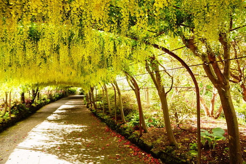 Llandudno: Snowdonia Bodnant Gardens & Castles Private Tour - Exploring the Snowdonia Bodnant Gardens & Castles Private Tour: An In-Depth Review