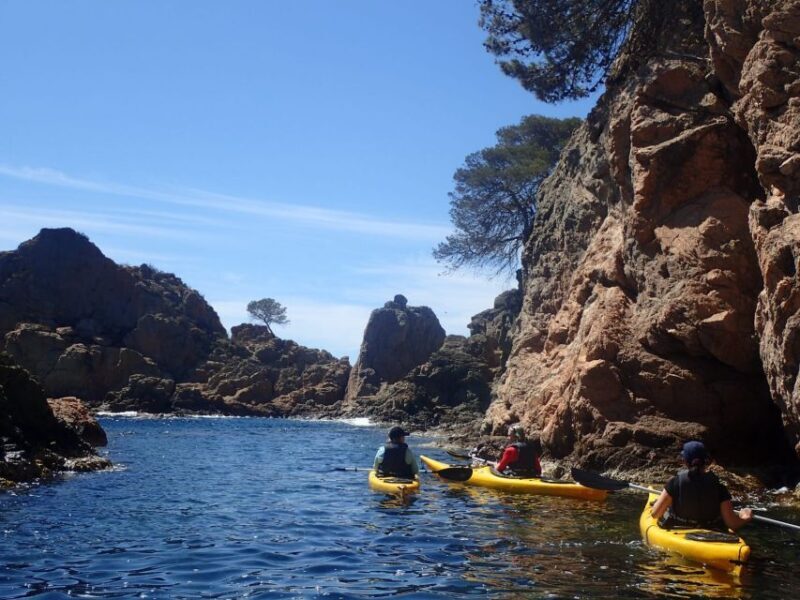 Lloret de Mar: 3-Hour Kayak and Snorkel Tour on Costa Brava - Your Guide to the 3-Hour Kayak and Snorkel Adventure in Lloret de Mar