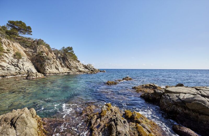 Lloret de Mar: Costa Brava Kayak Tour and Swimming - Why This Tour Is Worth Considering