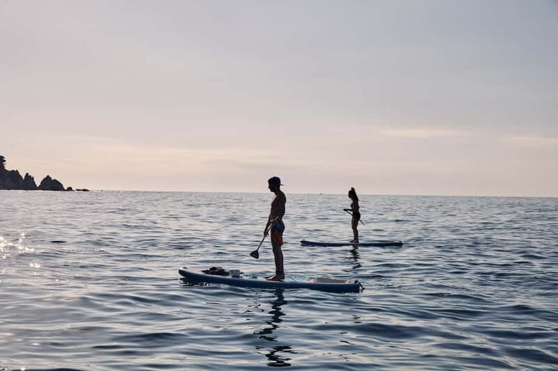 Lloret de Mar: Sunrise Paddle Board Ride with Instructor - What to Expect from the Sunrise Paddleboard Ride