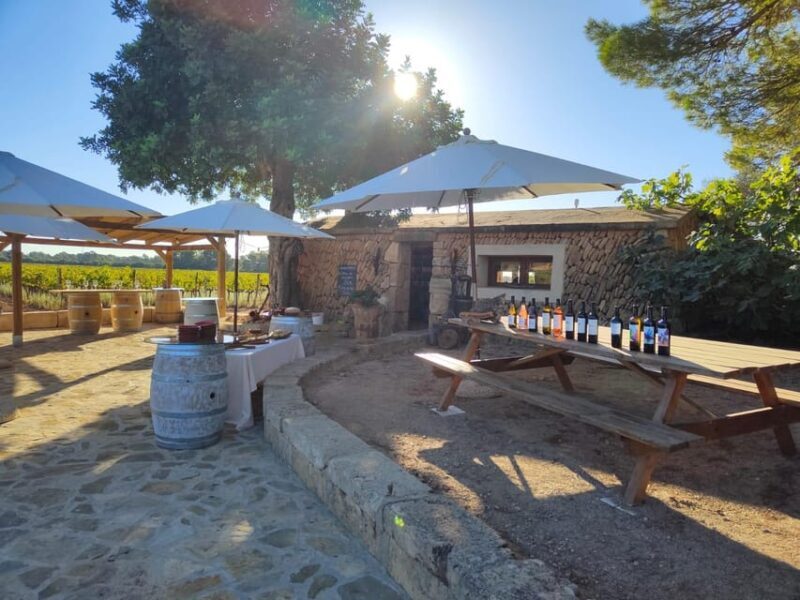 Llucmajor: Bodegas Bordoy Wine Tour - The Tour Itinerary: What to Expect